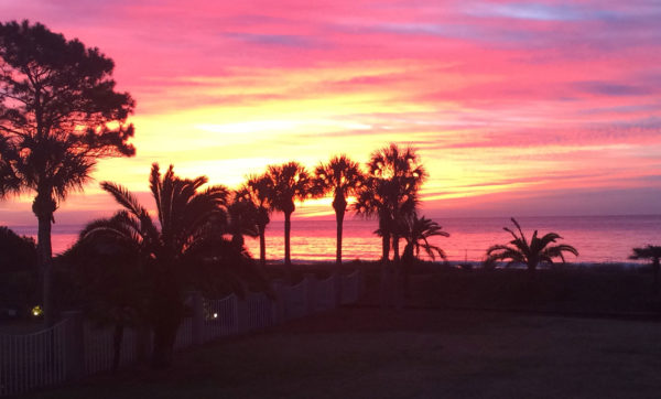 Top 5 St Simons Family Activties | Ultimate Family Guide to Golden Isles