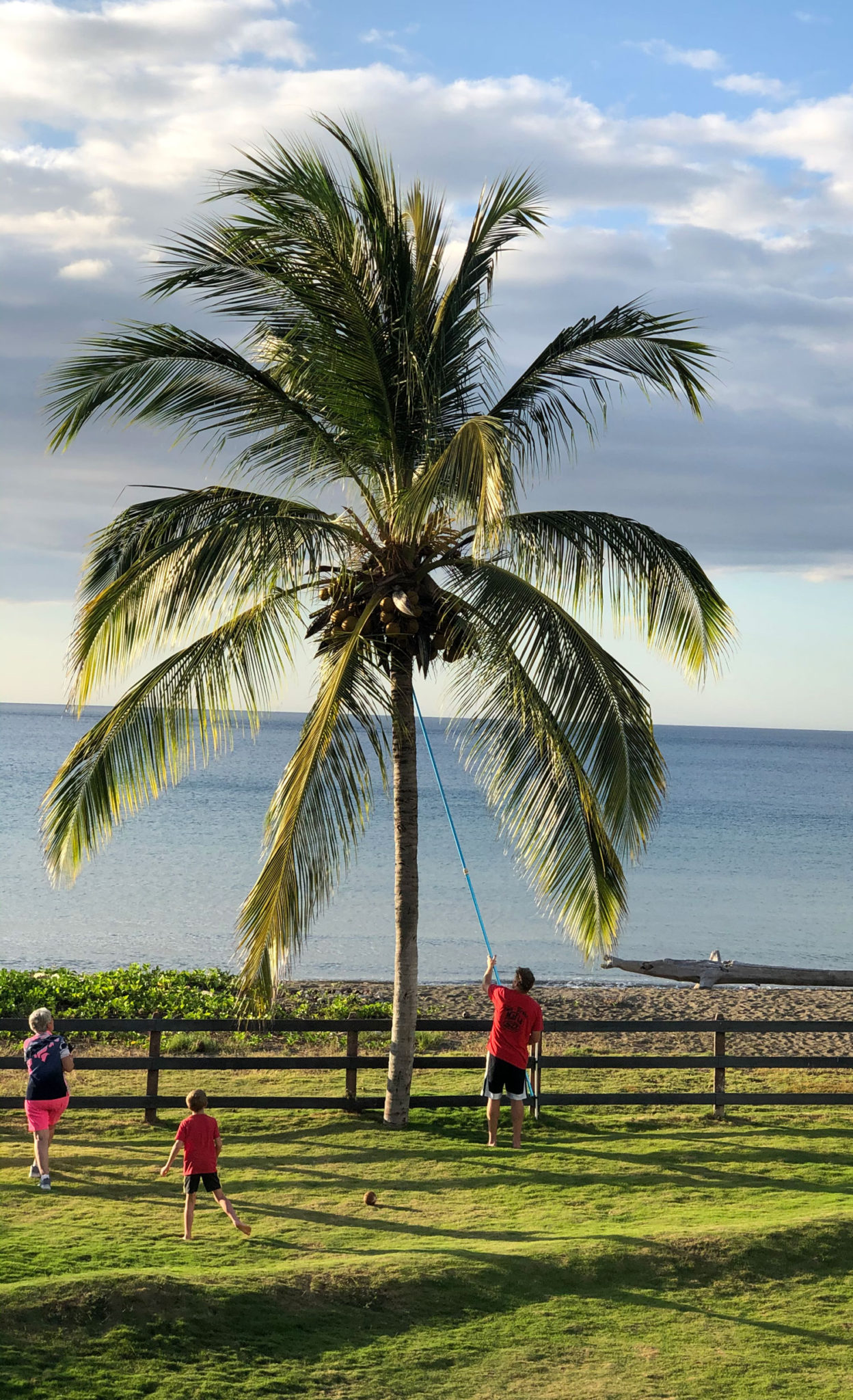 Playa Potrero Costa Rica: Everything You Need to Know | Insider Families