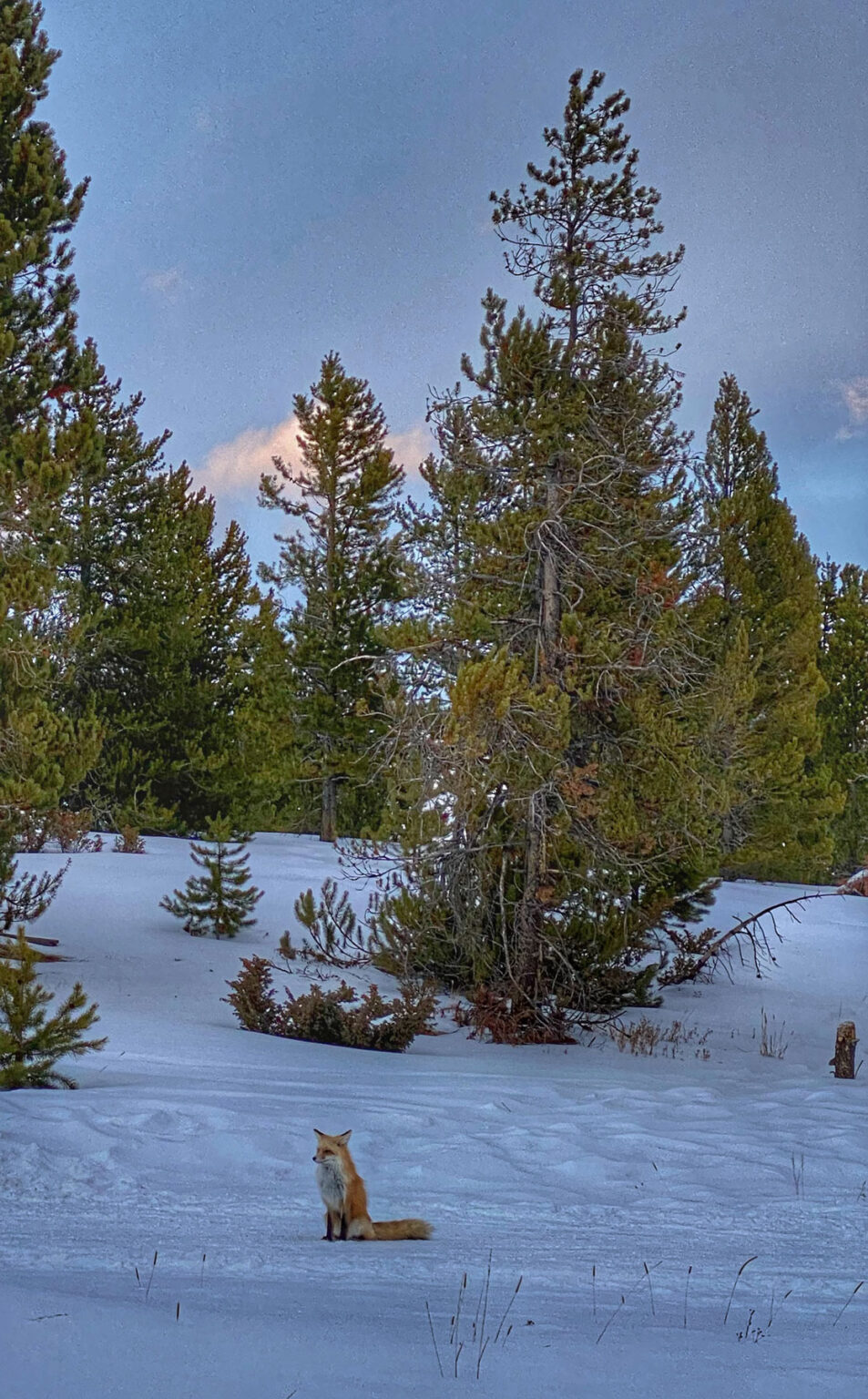 YMCA of the Rockies Snow Mountain Ranch: What to Know