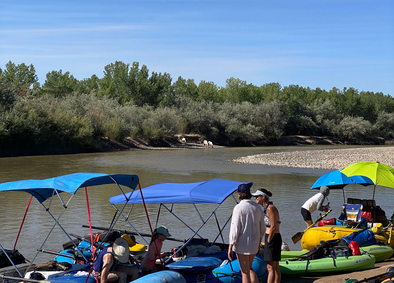 Bluff Utah: Basecamp for Adventure | Insider Families