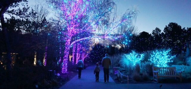 Winter Wonderland Lights Throughout the United States | Insider Families