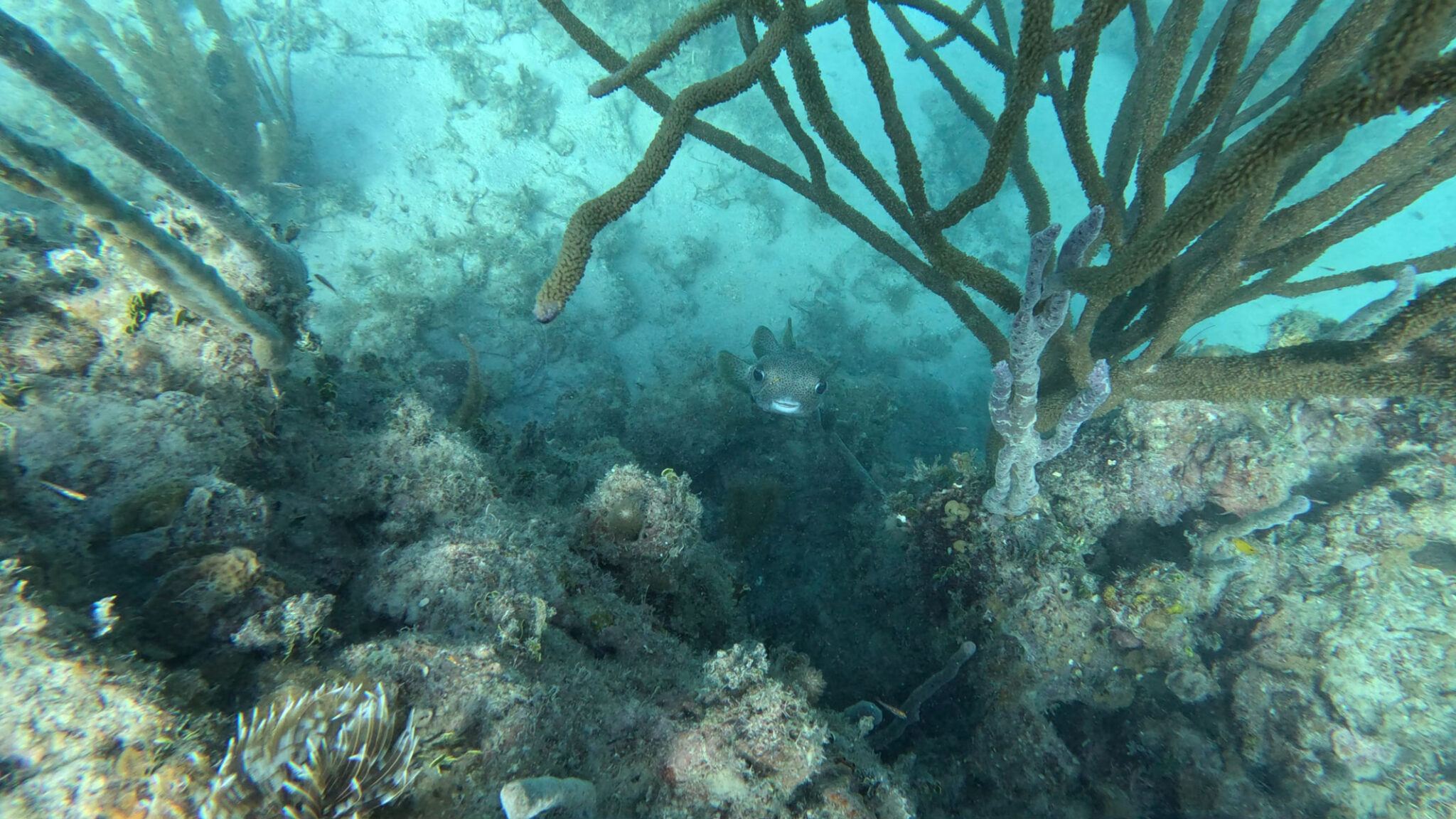 Ready, Set, Roatán: The Ultimate Packing List for Island Fun | Insider ...